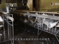 鹅肝为什么残忍_鹅肝制作过程