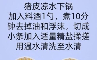 猪皮冻怎么做_猪皮冻的做法家常