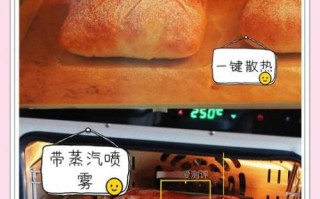 电烤箱烤肉怎么烤_电烤箱烤肉温度和时间