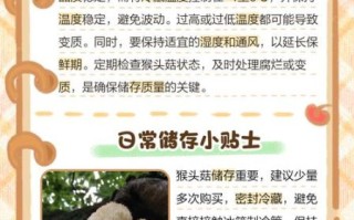 鲜猴头菇怎么保存_鲜猴头菇图片如何辨别真假