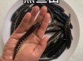 黑鱼养殖周期多久_黑鱼几个月可以出售