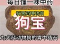 狗宝价格多少一克_狗宝多少钱一克2024