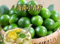 青柠檬能减肥吗_青柠檬怎么吃美白