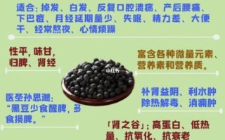 哪种黑豆补肾效果最好_黑豆补肾怎么选