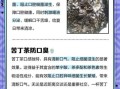苦丁茶喝了有什么效果_苦丁茶的功效与作用