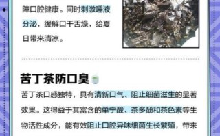 苦丁茶喝了有什么效果_苦丁茶的功效与作用