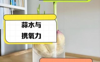 大蒜水能治什么病_大蒜水的禁忌有哪些