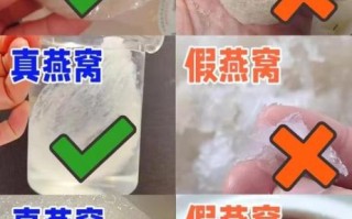 燕窝怎么炖_燕窝真假如何辨别