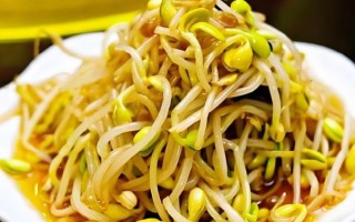 黄豆芽配什么炒最好吃_家常快手菜推荐
