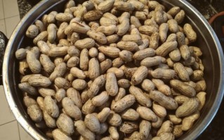 水煮花生热量高吗_减肥能吃水煮花生吗