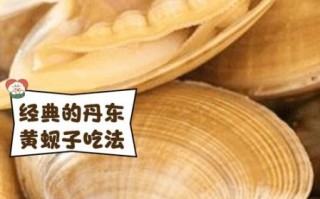 黄蚬子怎么清洗_黄蚬子蒸还是煮好吃