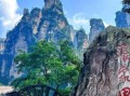 张家界必去景点有哪些_张家界旅游攻略