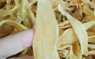 鮸鱼鱼胶的功效与作用_鮸鱼鱼胶怎么泡发
