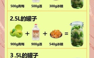 青梅酒怎么泡_青梅酒比例是多少