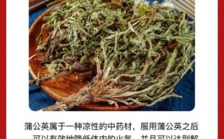 蒲公英能治妇科炎症吗_蒲公英怎么用效果最好
