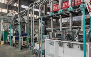 中型面粉加工成套设备多少钱_如何选型