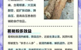 野葛根粉怎么吃_野葛根粉的正确吃法