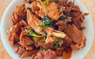炖鸭肉的做法_炖鸭肉怎么做好吃
