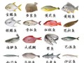 烟台海鱼有哪些_烟台常见海鱼图片及名称