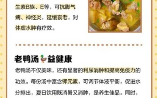 炖老鸭汤放什么材料_老鸭汤去腥增鲜秘诀
