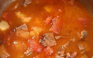 番茄牛肉片汤怎么做好吃_家常番茄牛肉片汤做法大全