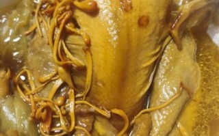 老母鸡煲汤放什么材料好_老母鸡煲汤放什么材料最营养