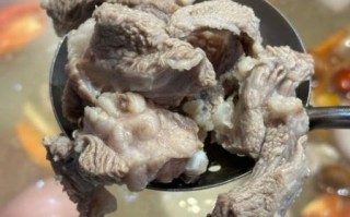 鲜羊肉火锅怎么做_鲜羊肉火锅的家常做法