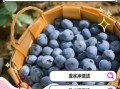 蓝莓怎么洗干净才能吃_蓝莓清洗的正确方法