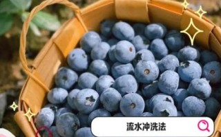 蓝莓怎么洗干净才能吃_蓝莓清洗的正确方法