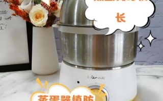 蒸蛋器蒸蛋有危害吗_蒸蛋器安全吗