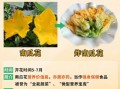 南瓜花可以吃吗_南瓜花怎么吃最好