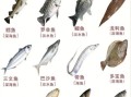 常吃海鱼的种类有哪些_如何挑选新鲜海鱼