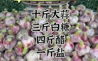家常腌糖蒜怎么做_糖蒜腌制窍门