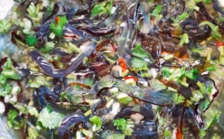 鲜海蜇怎么处理才能吃_鲜海蜇去毒去矾的正确方法