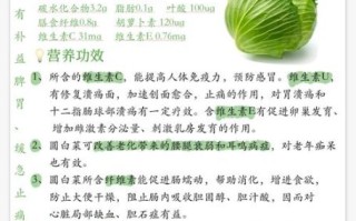 圆白菜的营养价值_圆白菜怎么吃最健康