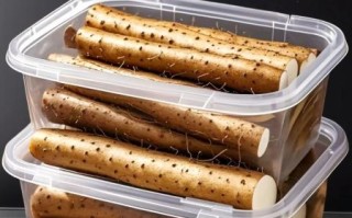 铁棍山药多少钱一斤_正宗铁棍山药价格行情