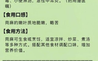 苘麻子是什么_苘麻子功效与作用