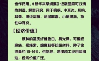 冬葵子和苘麻子区别_如何快速区分