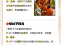 柿子不能和什么一起吃会中毒_柿子相克食物有哪些