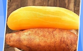 雪莲果怎么吃减肥_雪莲果减肥的正确吃法