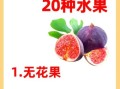 坐月子可以吃什么水果_最适合产妇的6种水果