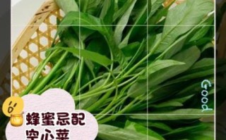 空心菜不能和什么一起吃_空心菜相克食物有哪些