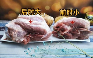 猪肘子是哪个部位_猪肘子分前后腿吗