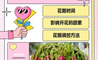 蟹爪兰一年开几次花_蟹爪兰花期多久