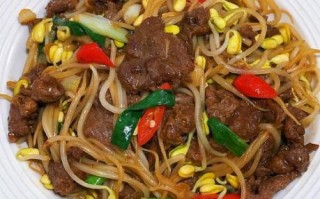 豆芽炒肉怎么做好吃_豆芽炒肉的家常做法