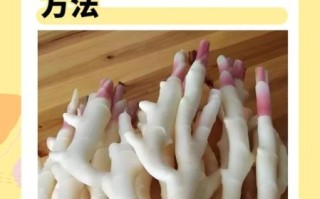 嫩姜泡醋怎么做_嫩姜泡醋的正确做法窍门 嫩姜泡醋怎么做_嫩姜泡醋的正确做法窍门