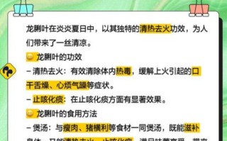 龙脷叶的功效与作用_龙脷叶能治什么病