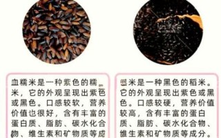 血糯米和黑米哪个更有营养_区别与功效对比