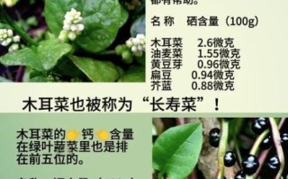 木耳菜的功效与禁忌_哪些人不能吃