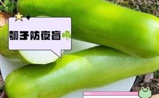 瓠子的功效与作用_瓠子什么人不能吃